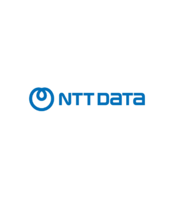 NTT DATA: Leading IT Solutions Provider Since 2008